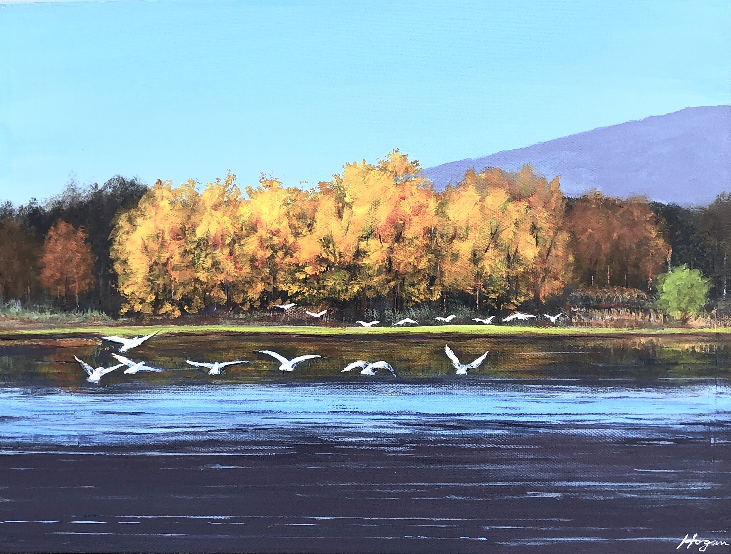 “Fall Flight” : 12″ x 16″ acrylic original – $425 – bobhoganart